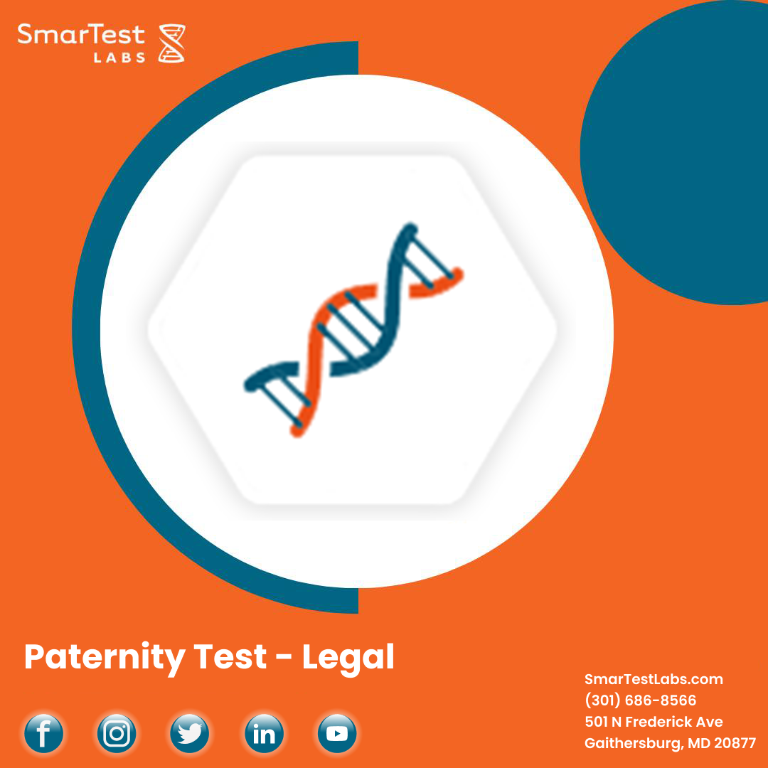 Legal Paternity Testing in Maryland – Fast & Accurate DNA Results